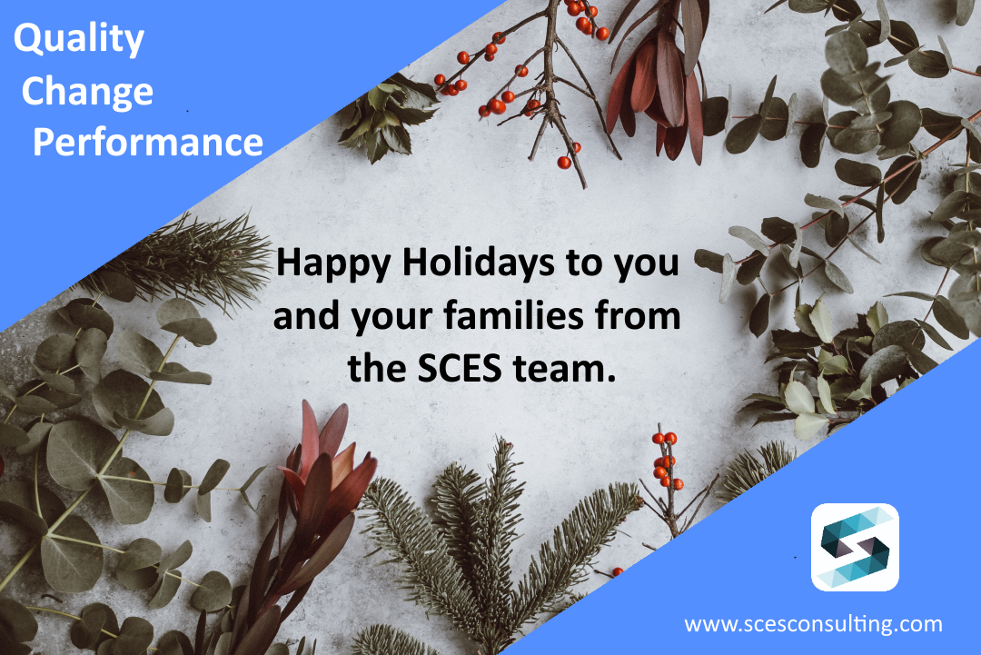 Commitment in 2023 - SCES Consulting | Quality Management Consulting Experts